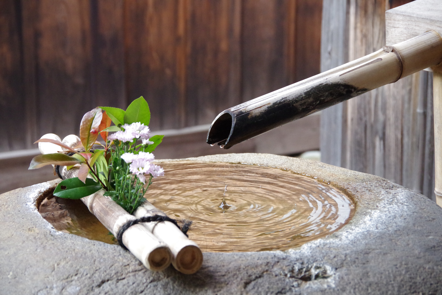 Why Do Japanese Women Have Such Great Skin? Learn Their Secrets for a ...