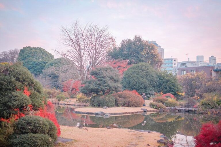 Enjoy a quiet day at the Koishikawa Botanical Gardens in Tokyo ...
