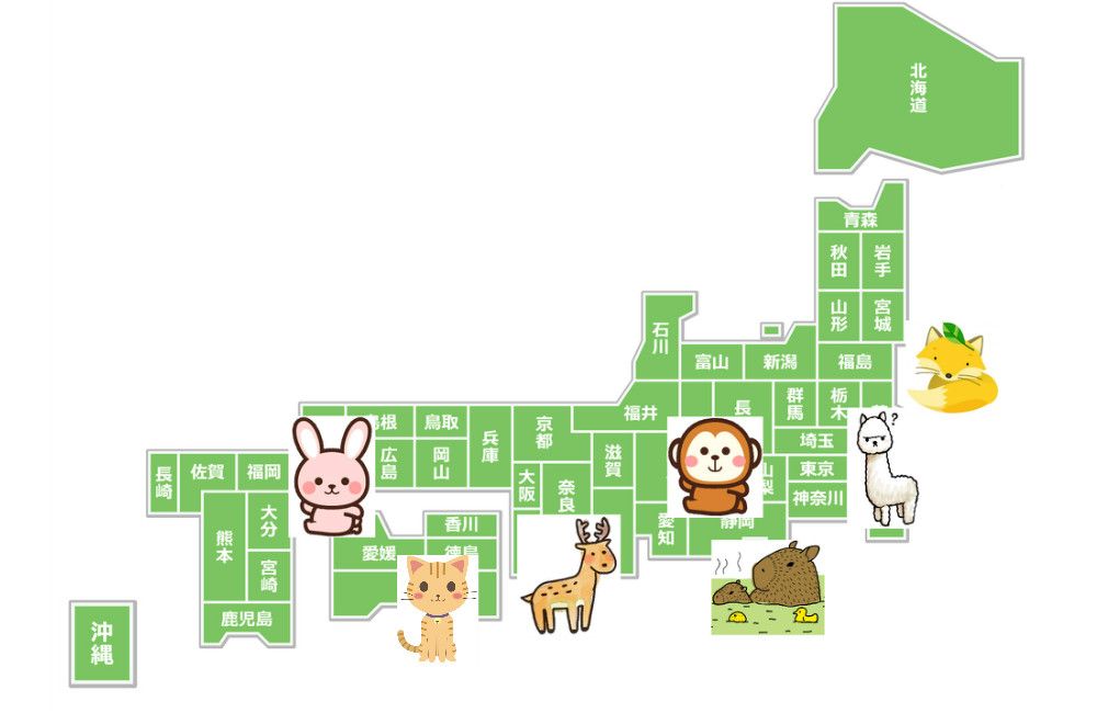 Cute animal spots in Japan - Japaholic English